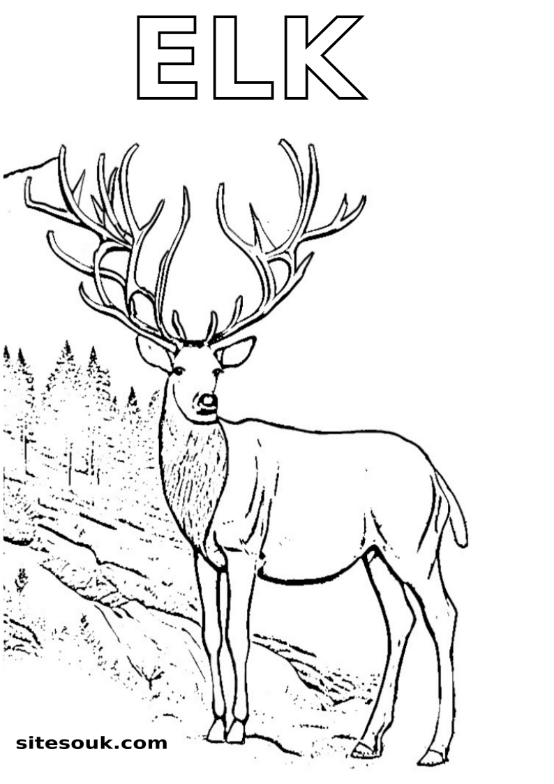 K5 Homeschool worksheet coloring worksheet drawing worksheet