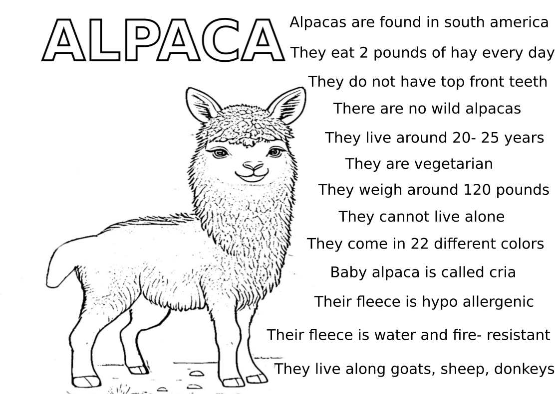 K5 Homeschool worksheets science worksheet daycare worksheet